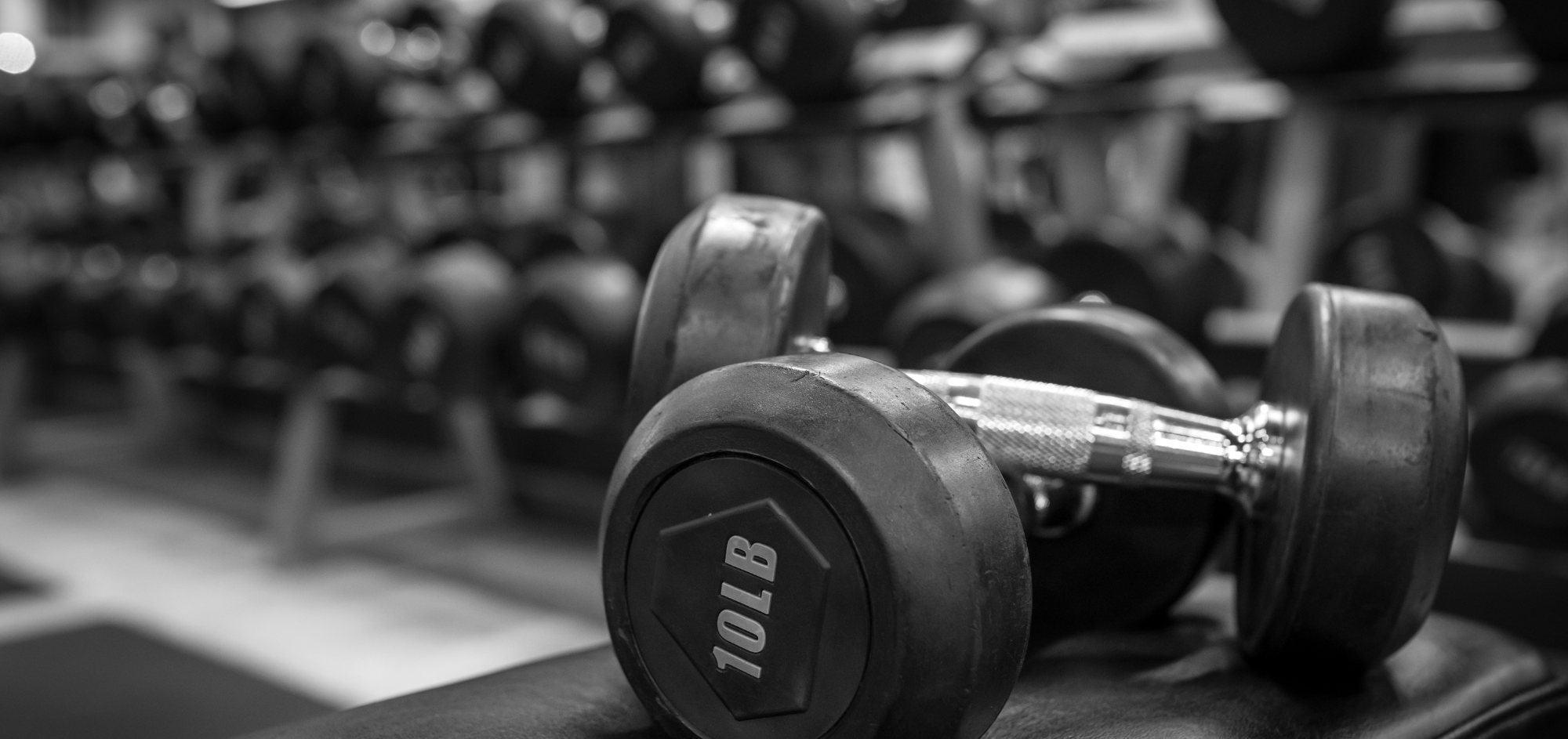 Coachs de musculation : la meilleure application - Coach'eo Pro